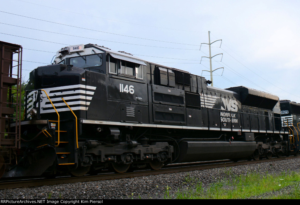 NS 1146